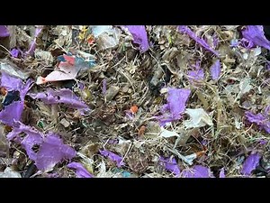 Cleansweep Processing Commercial SSO organics