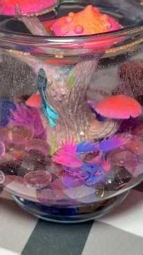 I Built the PERFECT Betta Fish Tank Setup! (Beginner Friendly)