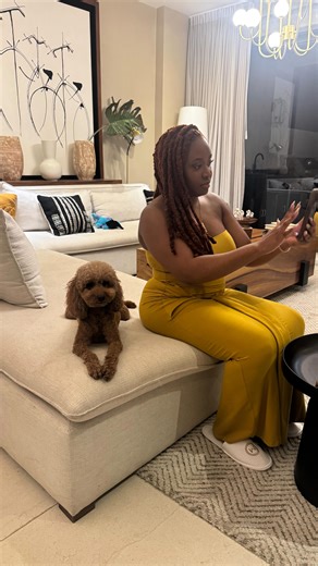 All my WFH fur babies clock in 😍 #dogsofinstagram #cockapoo #cute #petstagram #wfh | Bailey Mac