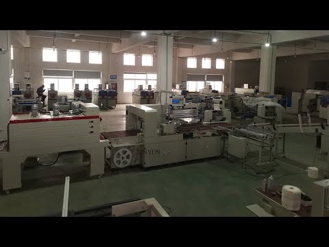 Automatic feeding 6 rolls small bobbin paper shrink packing machine