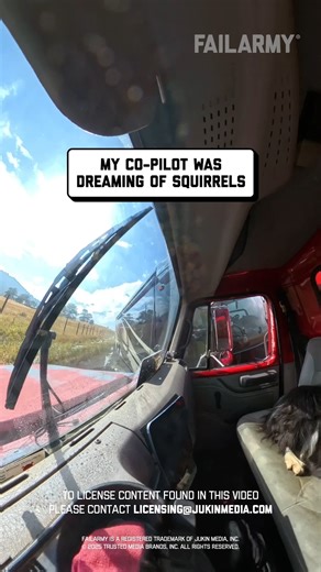 this is great practice for the demolition derby 😩 🤣 #cctv #dashcam #propertydamage #dog #carcrash #caraccident #carfails #fblifestyle #fail | FailArmy