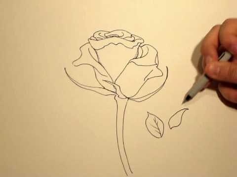 How to Draw a Rose (with a Sharpie) #1