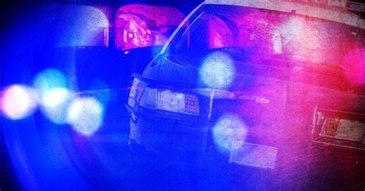 Springfield police seek suspects in camera pole vandalism