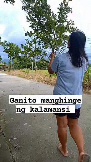 1.3K views · 16 reactions | Tawa ng tawa ang aking mga videographer #viralpost #viralreelsシ #viralvideo #fblifestyle #highlightseveryone | Mapy L. Tamayosa | Facebook