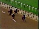Lady's Secret - 1985 Beldame Stakes