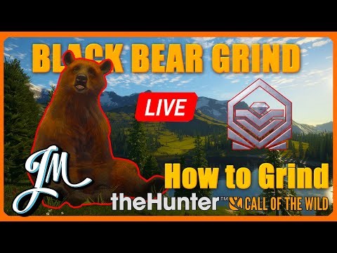 🔴Bear Behaving Badly GRIND TIME! G1#26 🔴- 1JMGames