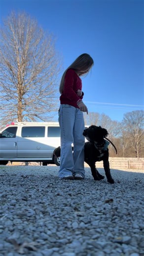 {~shrug your shoulders ~} long training video today!! question: would you put pickles in dock diving or fast cat? #dogcommunity #boost #servicedogcommunity #dogs #dogsoftiktok