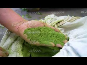 Moringa Leaf Powder Production Line Processing Machine