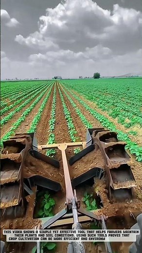 The 'Burying' Technique That Makes Plants Grow Abundantly! 🚜🌱 #smartfarming #gardeningtips