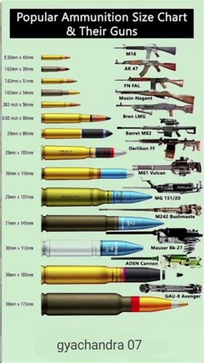 Caliber Size Chart 2025: Popular Rounds & Their Guns Explained#calibers#guns#weapons#ammunition