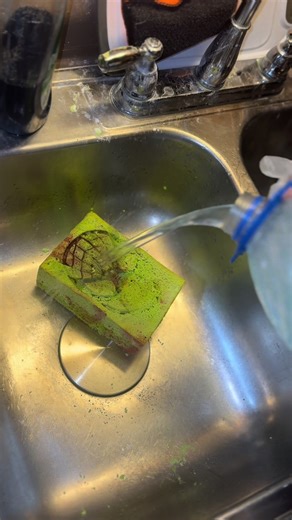 Satisfying Fake Rinse With Sponges