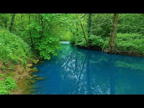 This Small Stream Has SO MANY TROUT! Dry Fly Fishing