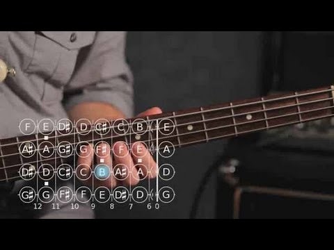 How to Play a B Minor Triad | Bass Guitar