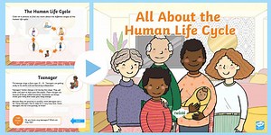 All About the Human Life Cycle PowerPoint