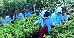 Cara Menulis Laporan Medis | Deskripsi pekerjaan - 2026