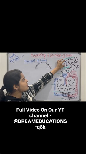 It’s simple physics! Your diaphragm contracts and flattens,...