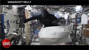 39K views · 649 reactions | What happens when you send NASA Astronaut Scott Kelly a gorilla costume on board the International Space Station? | CNET | Facebook