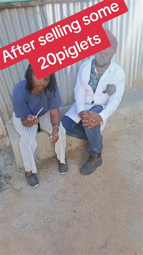 Understanding Pig Farming in Kenya: A Key Industry