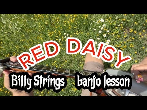 Red Daisy - Billy Strings banjo lesson with tabs