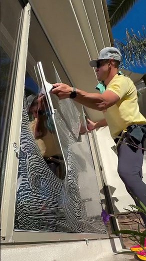 How to Clean Window Screens Like a Pro