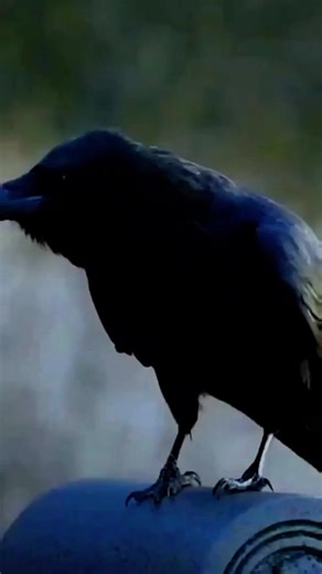 Romantic Moments: OTP Finally Holds Hands! 😍