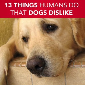 2.3M views · 427 reactions | Check it out! 13 things humans do that...