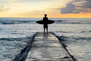 What are the differences between breakwaters, groins, jetties and seawalls?