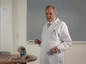 Monty Python's John Cleese Almost Explains Our Brains