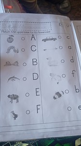 Match the uppercase letters to their lowercase lettersA  C  ... | Filo