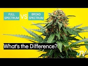 Broad Spectrum CBD vs Full Spectrum CBD