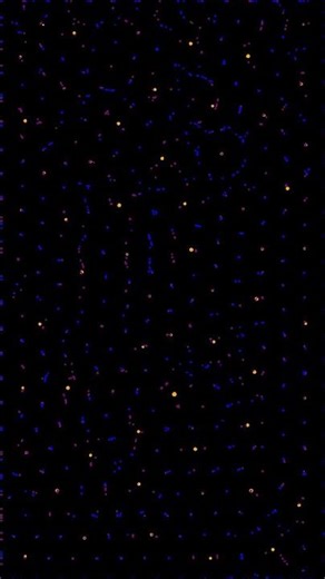 Particle Life Simulation - %s