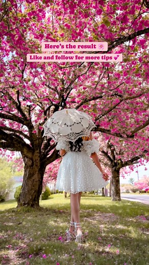 Creative Photo Ideas: Capturing Trees in Your Background