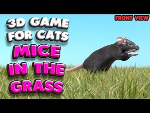 3D game for cats | MICE in the grass (front view) | 4K, 60 fps, stereo sound