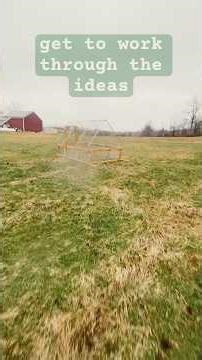 Strolling around the pasture with Zip the dog. Beautiful Spring day! 🌧️🌷