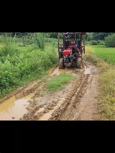 #fblifestyle Transporting timber alone in the mountains | Robiul Islam