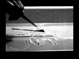 Water-walking devices