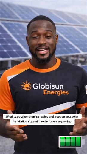 Managing Solar Installations with Tree Shading