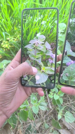 #motorola G86 5G VS #redmi Note 14 5G Camera Test Comparison #ytshorts #smartphone #shorts #viral