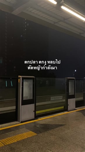 Do Warp บน TikTok