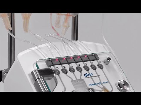 Rotea Setup and Example Protocol | Gibco™ CTS™ Rotea™ Counterflow Centrifugation System