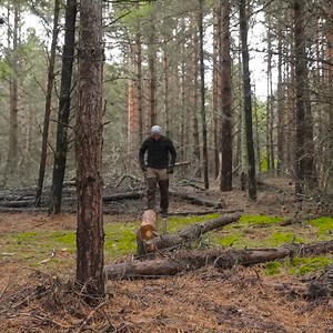 98K views · 1.7K reactions | Log cabin half in the ground, Winter will be warm, My fairytale shelter in the woods. | Adventures Bushcraft | Facebook