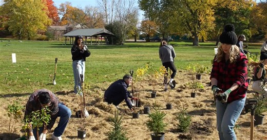 Trees for Life launches campaign to plant 74,000 trees this weekend