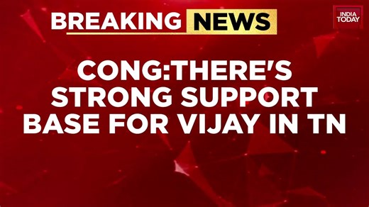 Report: Congress Notes Vijay’s Strong Support in Tamil Nadu but Flags TVK’s Structural Gaps