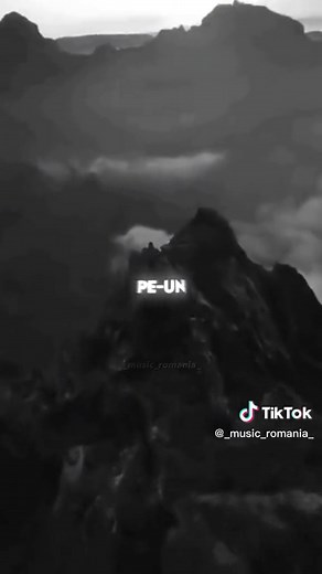 _music_romania_ pe TikTok