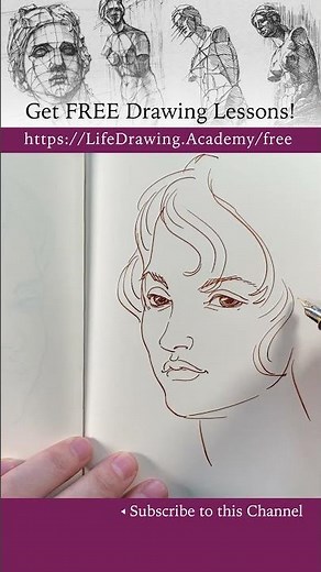 How to sketch a portrait the right way: https://lifedrawing.academy/free