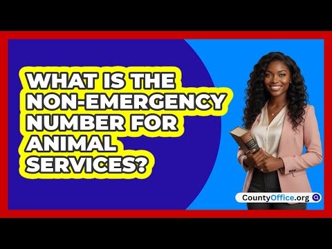 What Is The Non-Emergency Number For Animal Services?