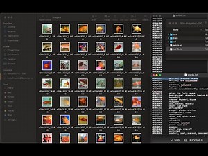 EfficientNet on tiny imagenet dataset - full code - do training on Colab