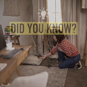 1.2K views · 12 reactions | Did You Know? Fire is One of the Fastest-Growing Property Disasters A fire can spread in minutes, turning your property into a disaster zone. That’s why having a solid fire safety plan in place is essential for protecting your business. Don’t wait—plan ahead! | ServiceMaster Restore | Facebook