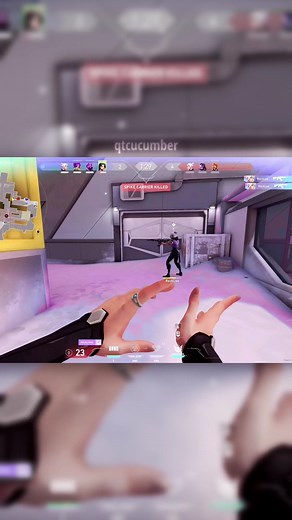 Professional Sage Valorant Gameplay Highlights