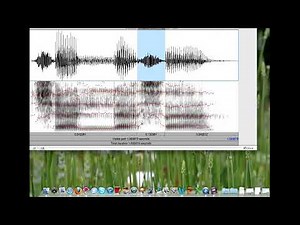 PRAAT 4 Getting help with formants and f0